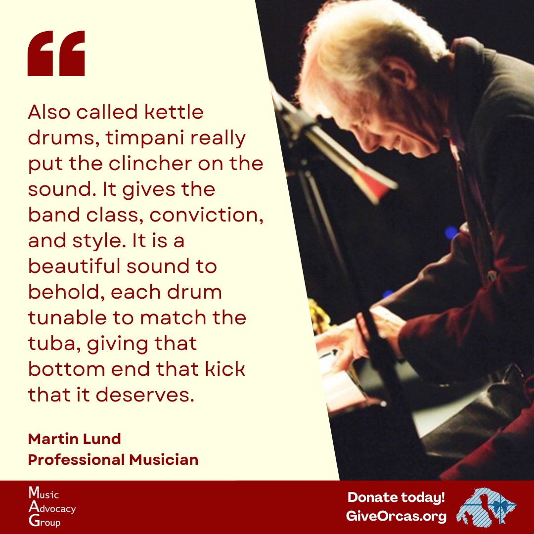 Music Instruments Needed: Can You Help? – Music Advocacy Group